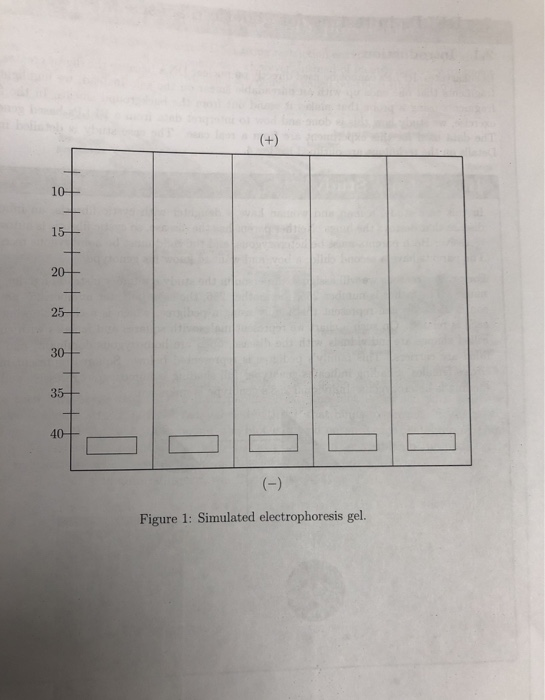 Solved solidify your understanding of the theory we will | Chegg.com
