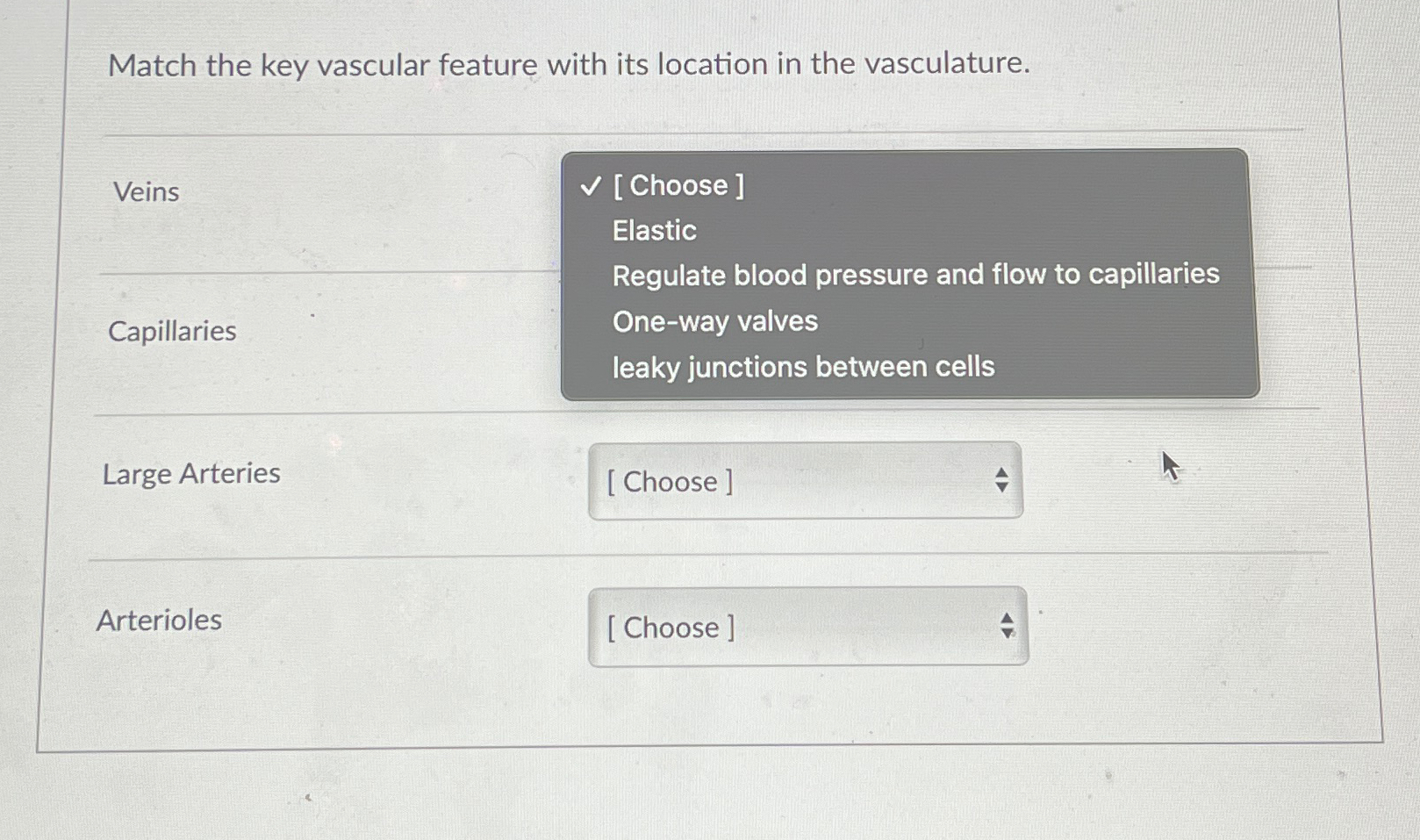 Match the key vascular feature with its location in | Chegg.com