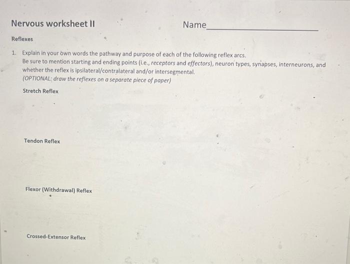 Reflexes 1. Explain in your bwn words the pathway and | Chegg.com