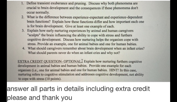 Solved 1. Define transient exuberance and pruning. Discuss | Chegg.com