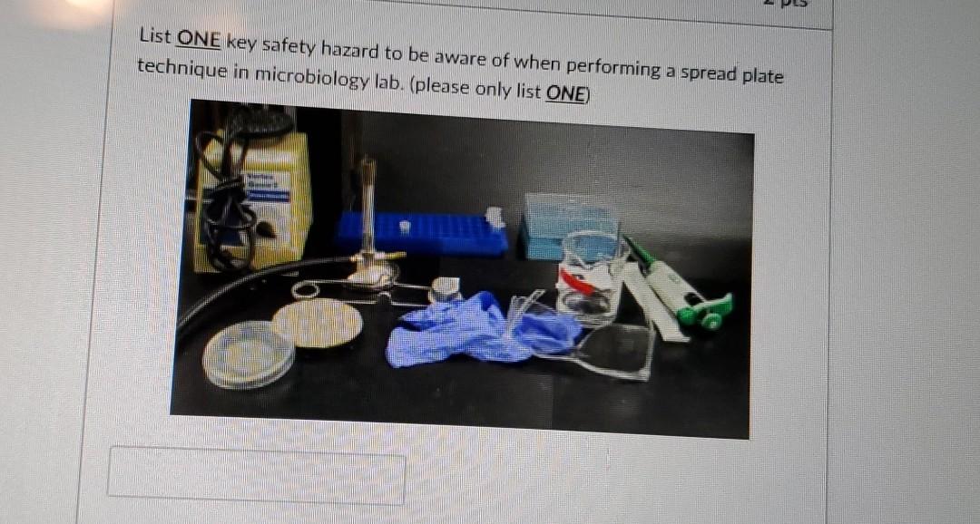 Solved With the bacteriophage plaque assay done in lab, | Chegg.com