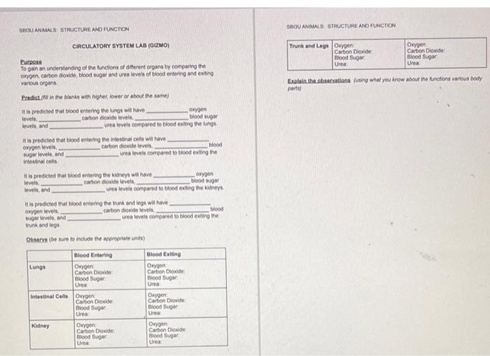Solved SBOU ANIMALS STRUCTURE AND FUNCTION BU ANIMALS | Chegg.com