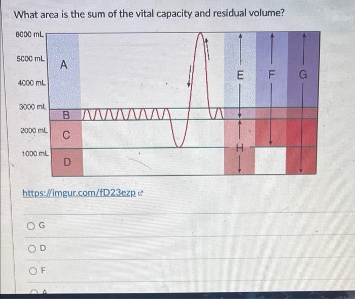 Solved Calculate cardiac output from the following variables | Chegg.com