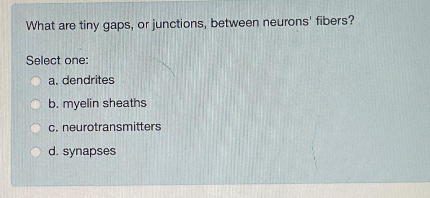 Solved What are tiny gaps, or junctions, between neurons' | Chegg.com