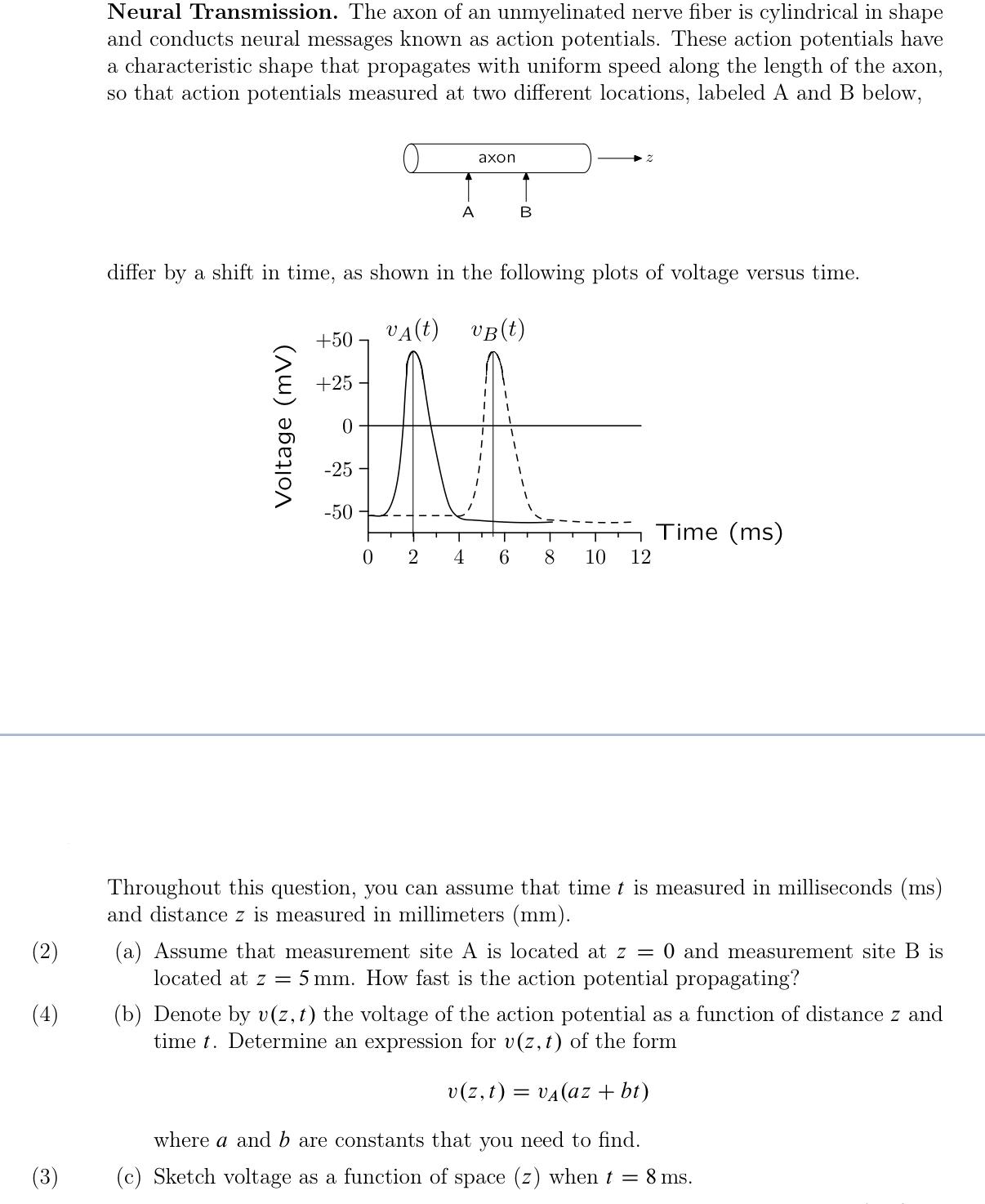 Solved Neural Transmission. The axon of an unmyelinated | Chegg.com