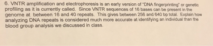 Solved 6. VNTR amplification and electrophoresis is an early | Chegg.com