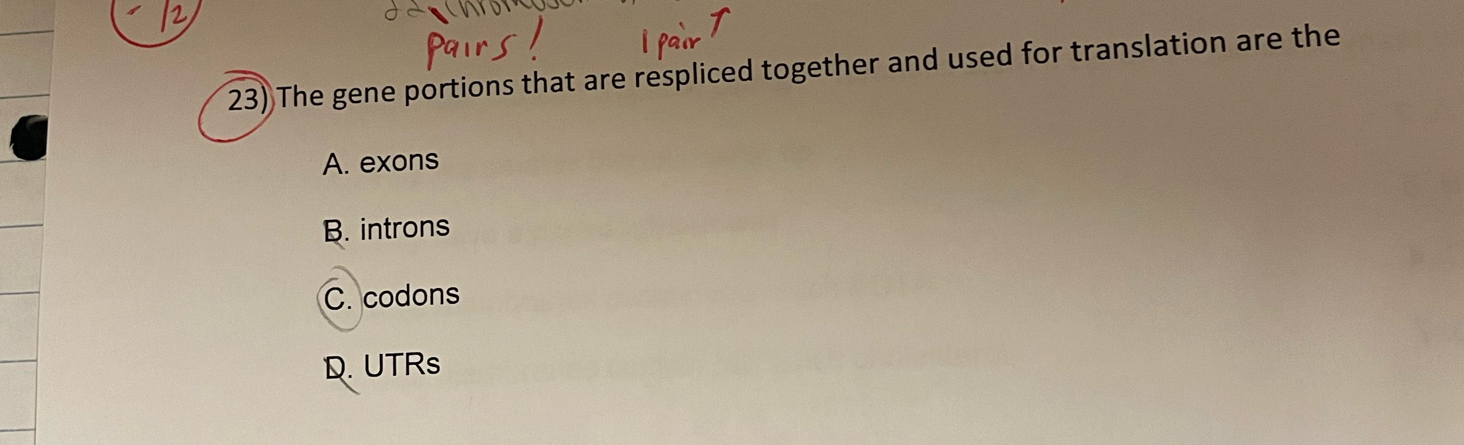 Solved The gene portions that are respliced together and | Chegg.com
