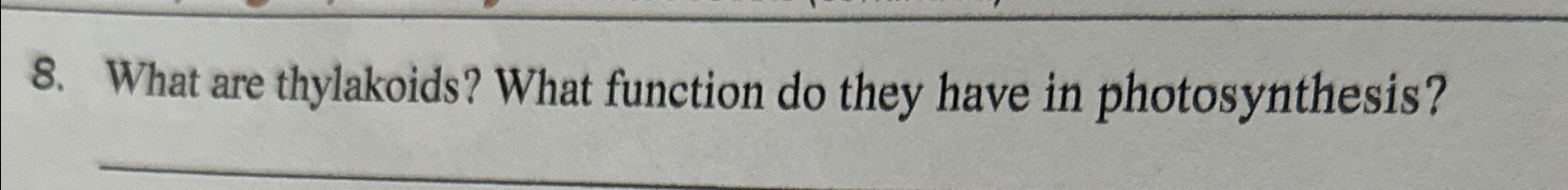 Solved What are thylakoids? What function do they have in | Chegg.com