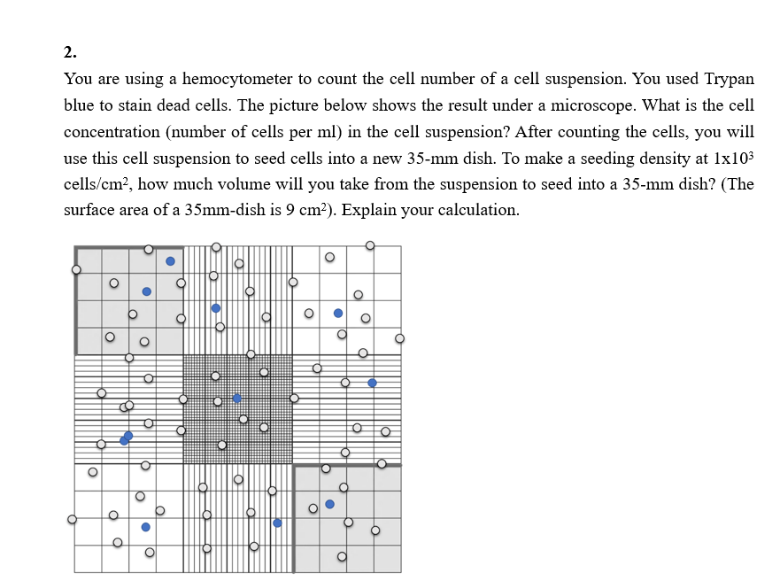 Solved You are using a hemocytometer to count the cell | Chegg.com