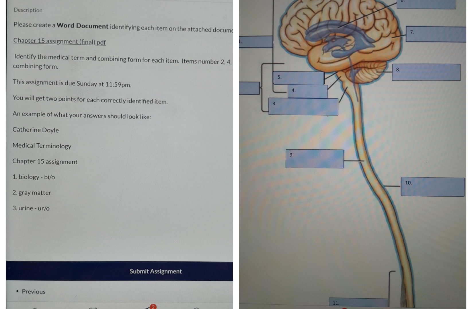 DescriptionPlease create a Word Document identifying | Chegg.com