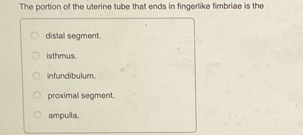 Solved The portion of the uterine tube that ends in | Chegg.com