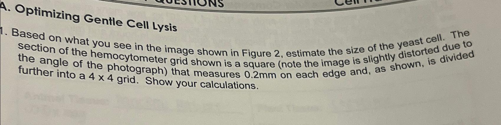 Solved A. ﻿Optimizing Gentle Cell LysisBased on what you see | Chegg.com