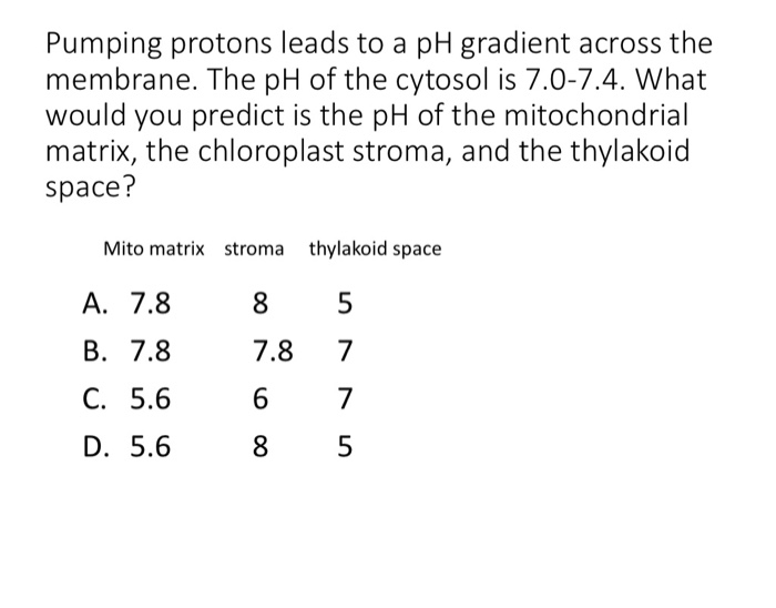Solved Pumping protons leads to a pH gradient across the | Chegg.com