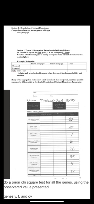 Solved Name Section Date F, REPORT Instructor Data Set / | Chegg.com