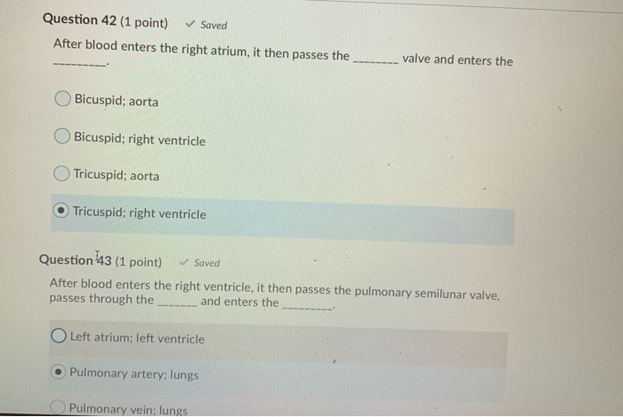Solved Question 42 (1 point) Saved After blood enters the | Chegg.com