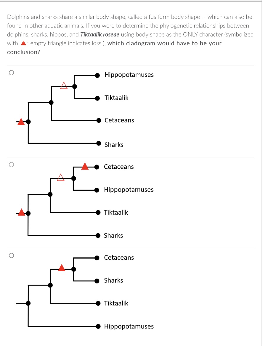 Dolphins and sharks share a similar body shape, | Chegg.com