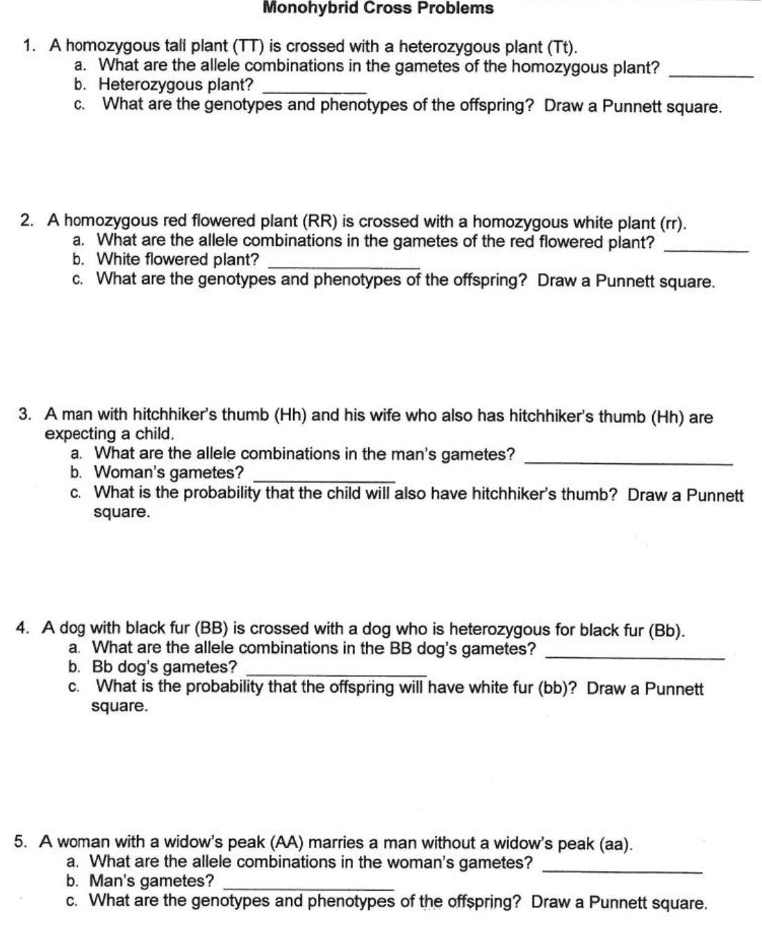 Solved Monohybrid Cross ProblemsA homozygous tali plant (TT) | Chegg.com