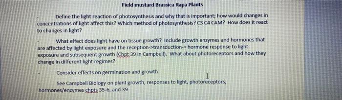 Solved Field mustard Brassica Rapa Plants Define the light | Chegg.com