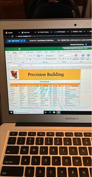 Solved Task Instructions Using a custom AutoFilter, filter | Chegg.com