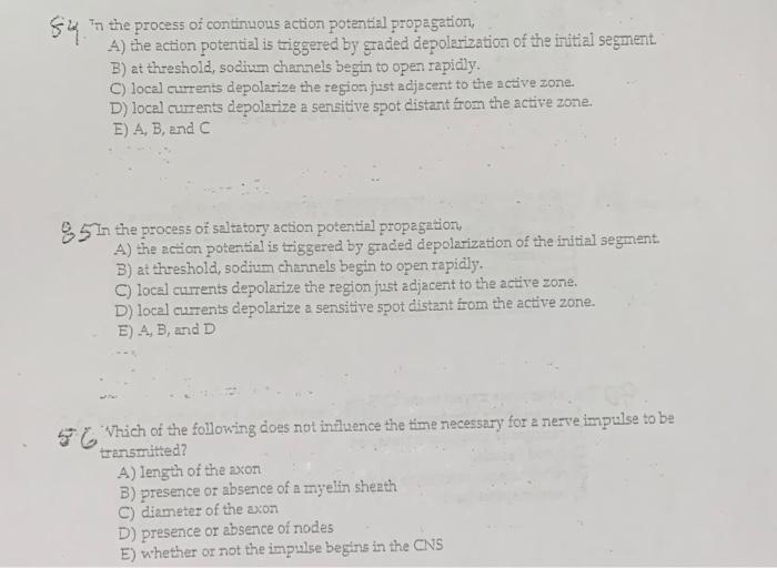 Solved $4 th the process of continuous action potential | Chegg.com