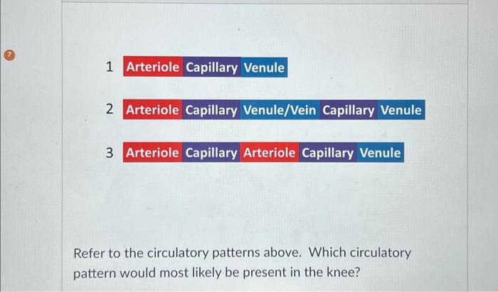 Solved Refer to the circulatory patterns above. Which | Chegg.com