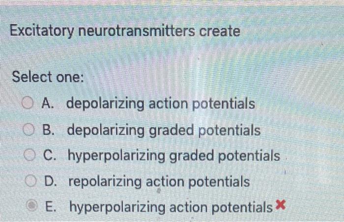 Solved Excitatory neurotransmitters create Select one: A. | Chegg.com