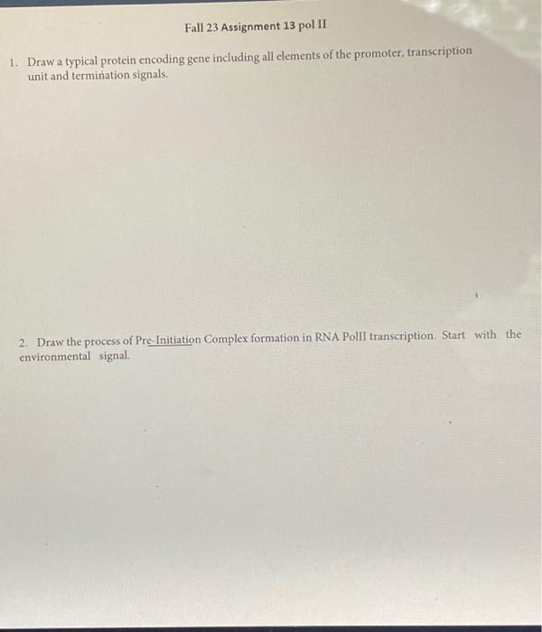 Solved 1. Draw a typical protein encoding gene including all | Chegg.com