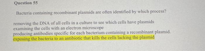 Solved Bacteria containing recombinant plasmids are often | Chegg.com