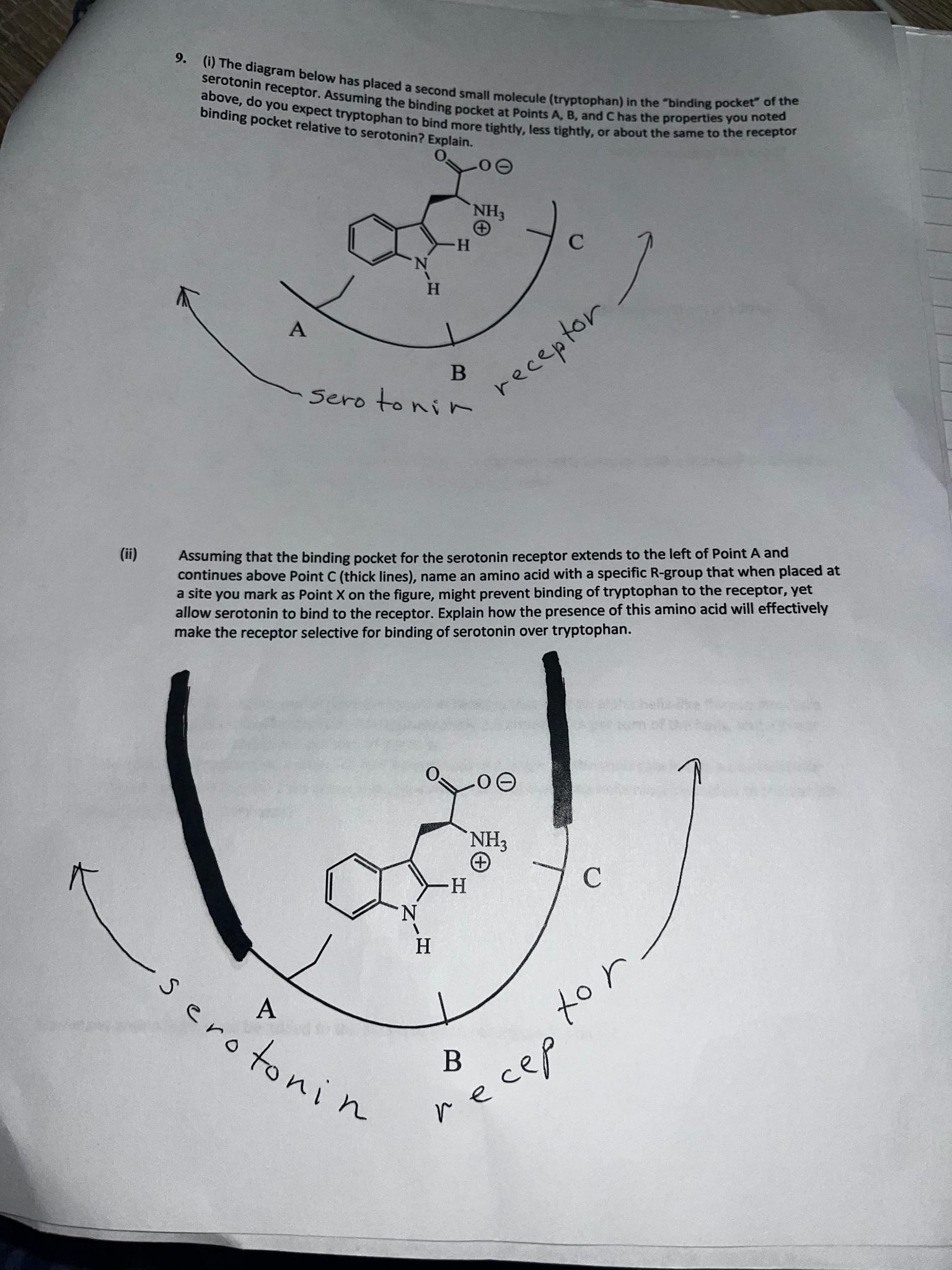 Solved (i) ﻿The diagram below has placed a second small | Chegg.com