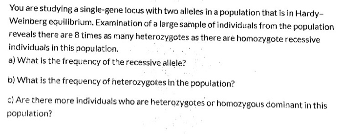 Solved You are studying a single-gene locus with two alleles | Chegg.com