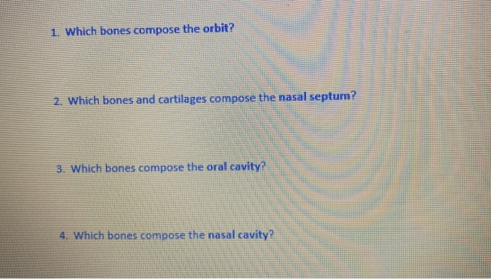 Solved 1 Which Bones Compose The Orbit 2 Which Bones And Chegg