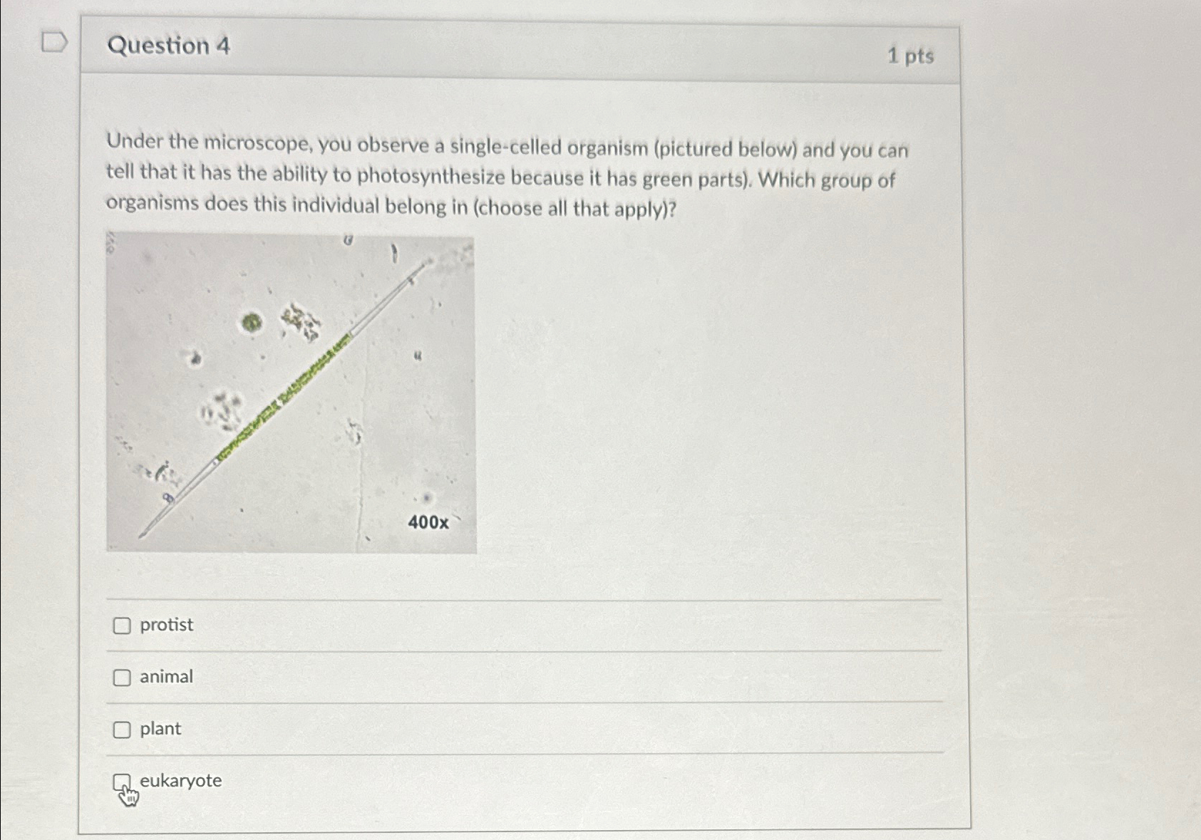 Solved Question 41ptsUnder the microscope, you observe a | Chegg.com