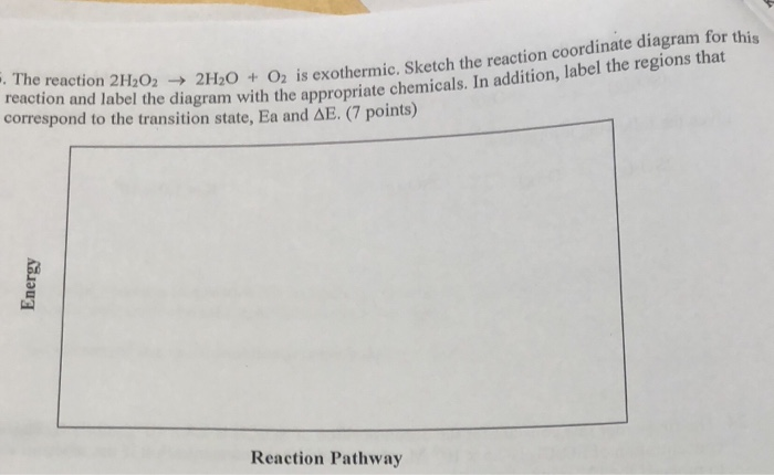 Solved 2 .. The reaction 2H2O2 → 2H2O + O2 is exother | Chegg.com
