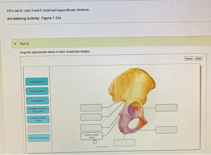 Solved Question | Chegg.com