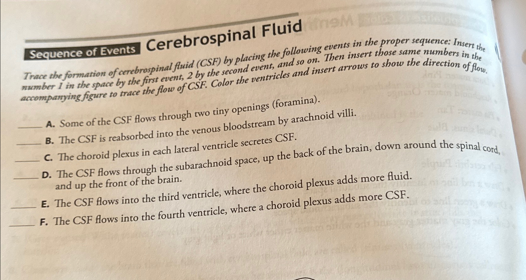 Solved Sequence of Events Cerebrospinal FluidTrace the | Chegg.com