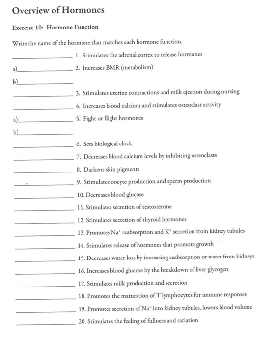 Solved Overview of Hormones Exercise 10: Hormone Function | Chegg.com