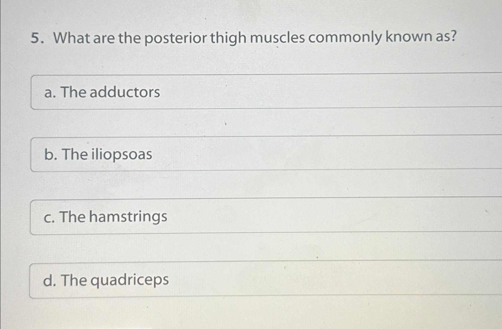 Solved What are the posterior thigh muscles commonly known | Chegg.com