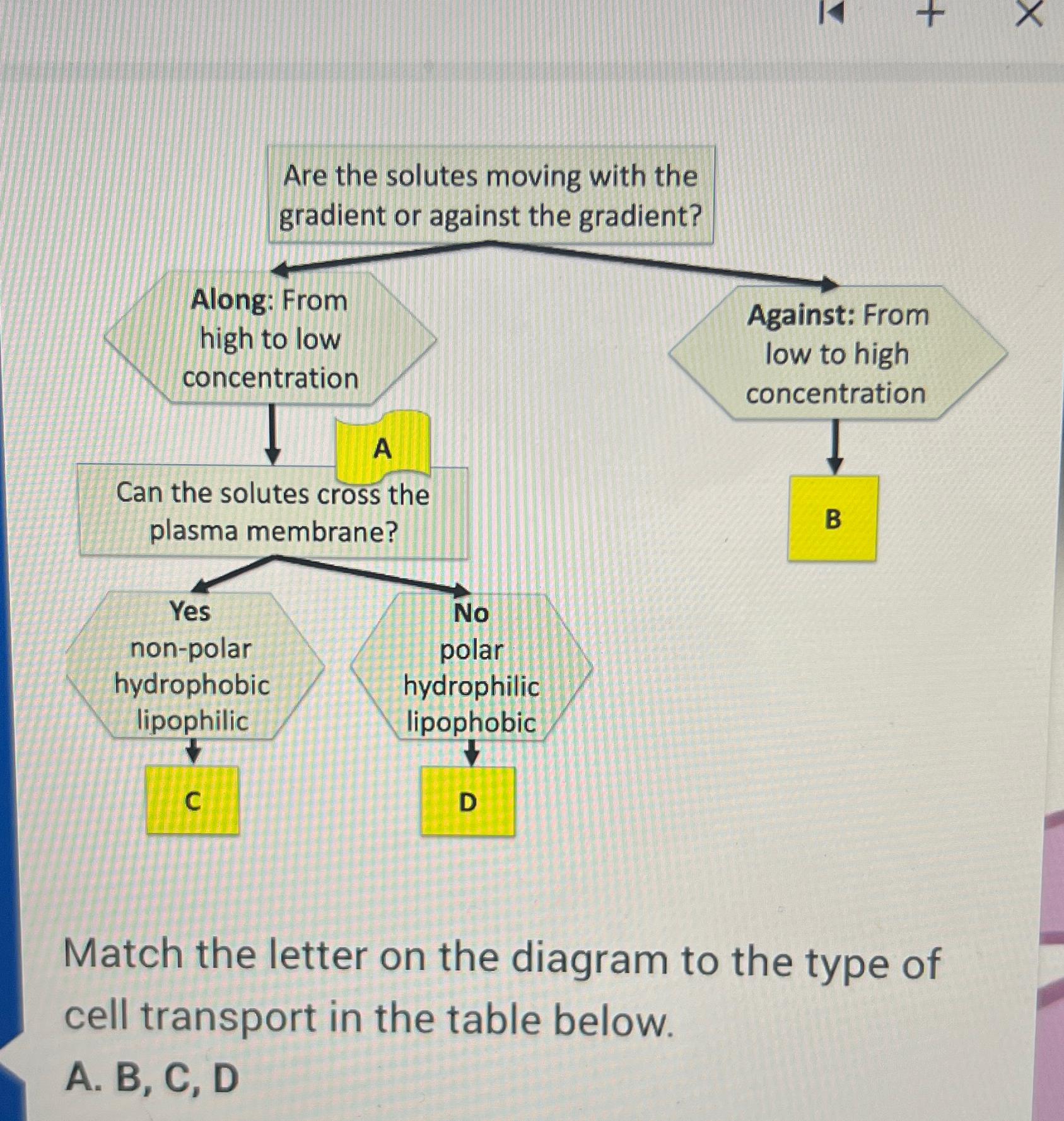 Solved Are the solutes moving with the gradient or against | Chegg.com