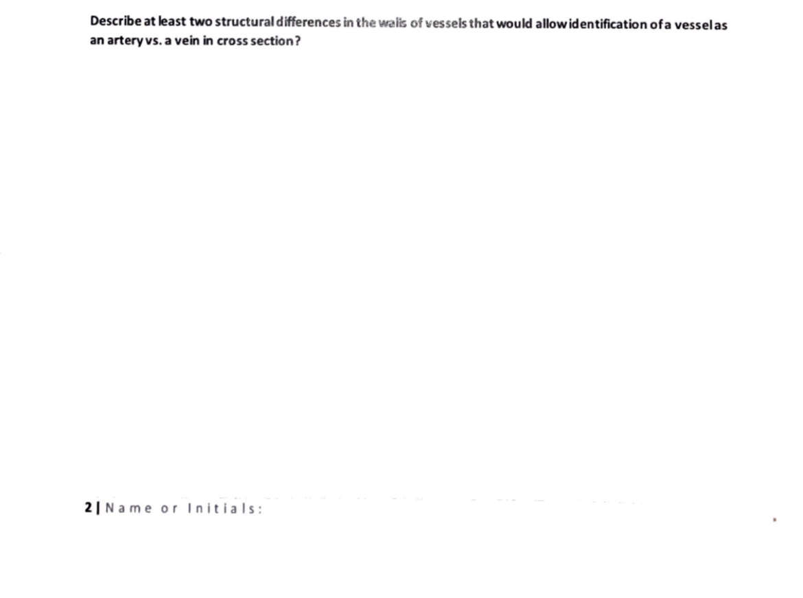 Solved Describe at least two structural differences in the | Chegg.com