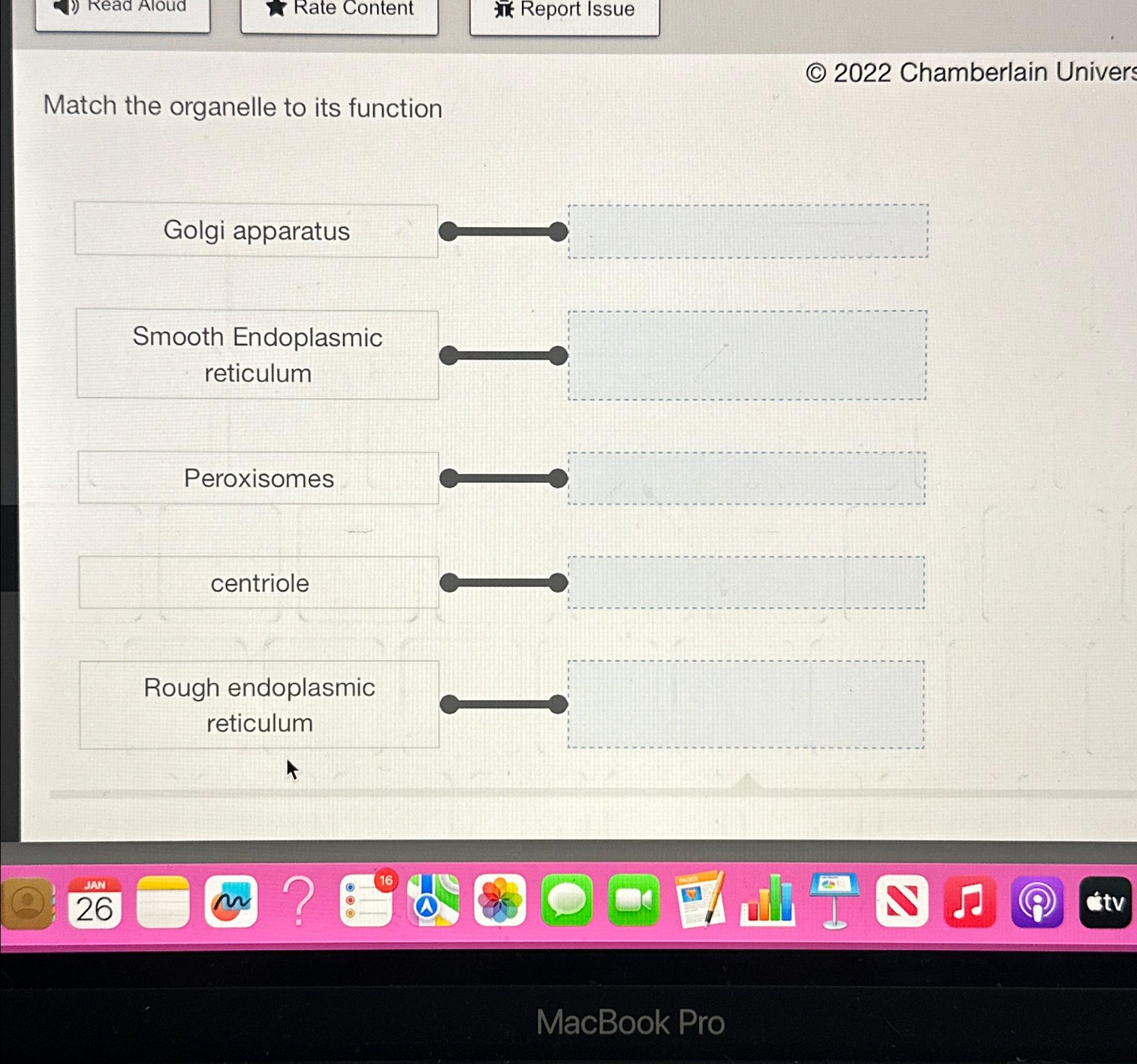 Solved 椾 ﻿Report IssueMatch the organelle to its | Chegg.com