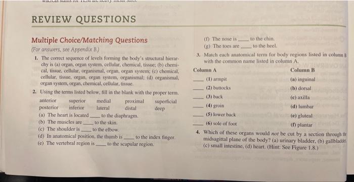 Solved Multiple Choice/Matching Questions (For answers, see | Chegg.com