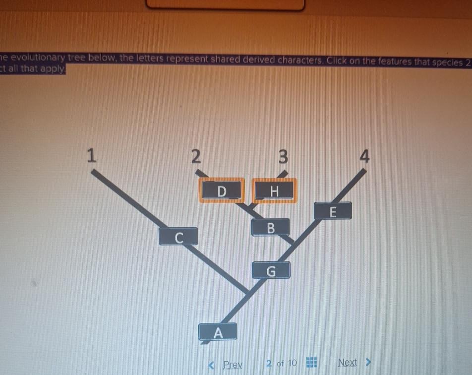 Solved ne evolutionary tree below, the letters represent | Chegg.com