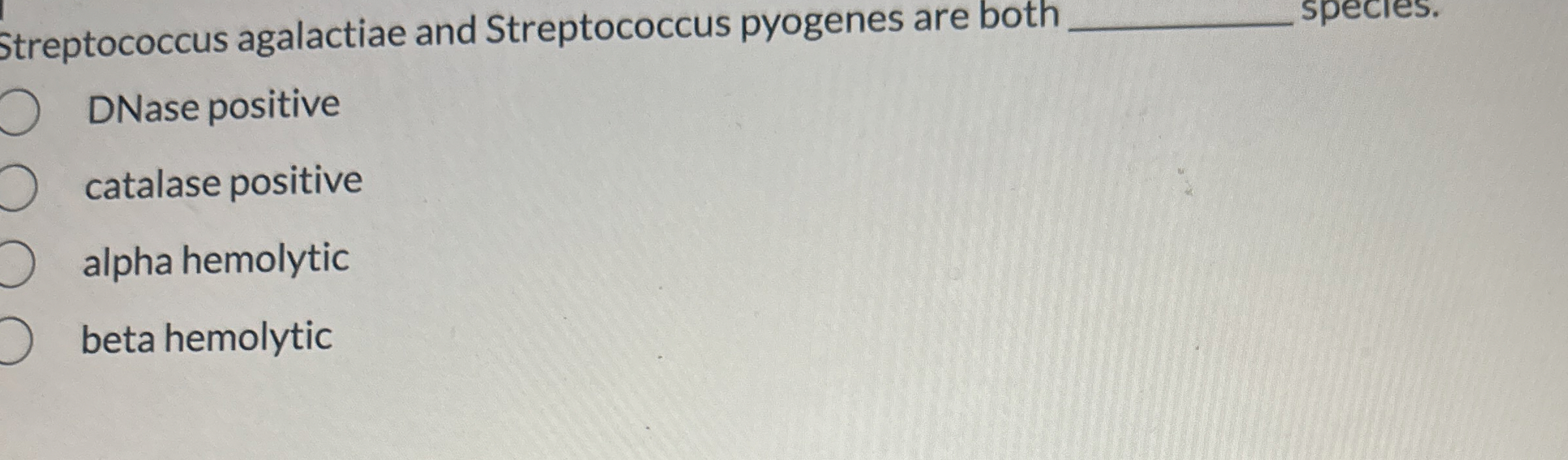 Solved Streptococcus agalactiae and Streptococcus pyogenes | Chegg.com