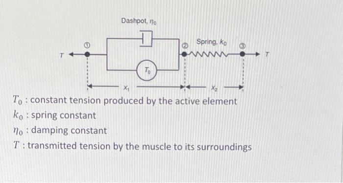 Solved A muscle with the following characteristics, Tension | Chegg.com