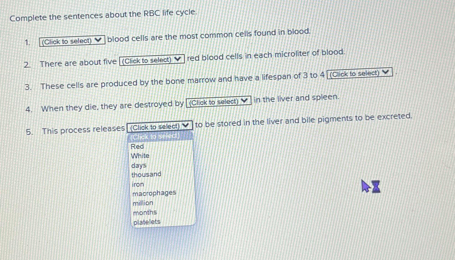 Solved Complete the sentences about the RBC life | Chegg.com