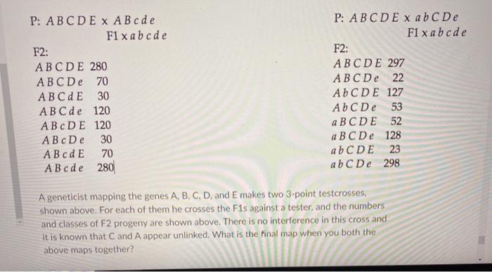 Solved P: ABCDEX ABcde F1 x abcde F2: ABCDE 280 ABC De 70 | Chegg.com