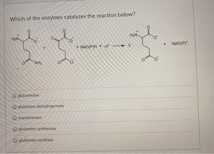 Solved Complete oxidation of cerotic acid acid (26:0) | Chegg.com
