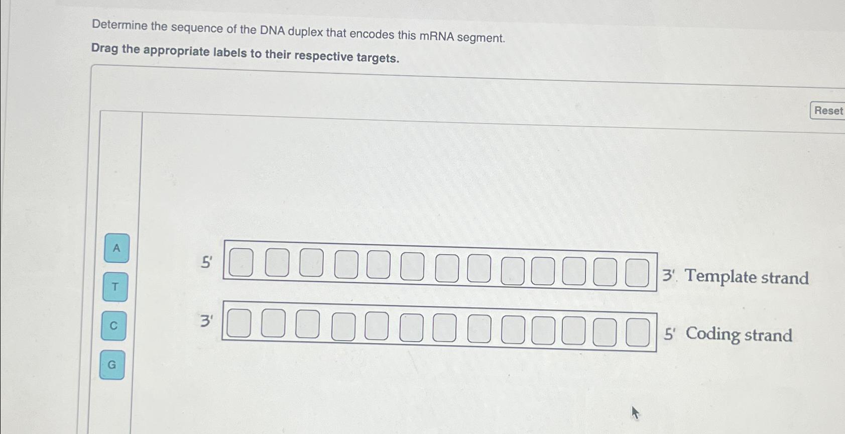 Solved Determine the sequence of the DNA duplex that encodes | Chegg.com