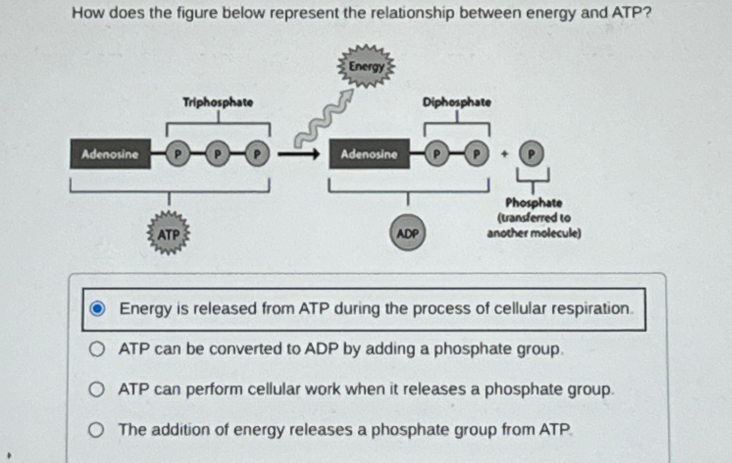 Solved How does the figure below represent the relationship | Chegg.com