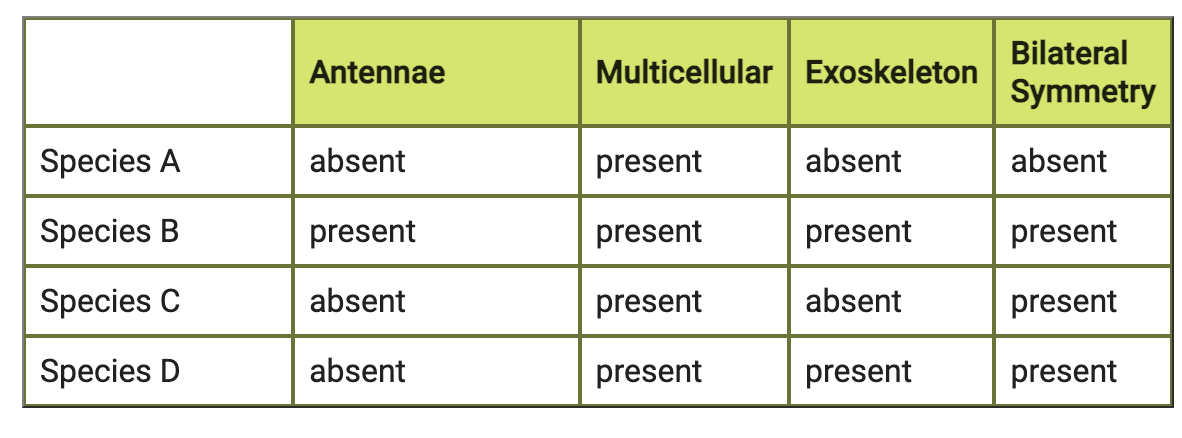 Solved 2. ﻿Construct a cladogram using the information | Chegg.com